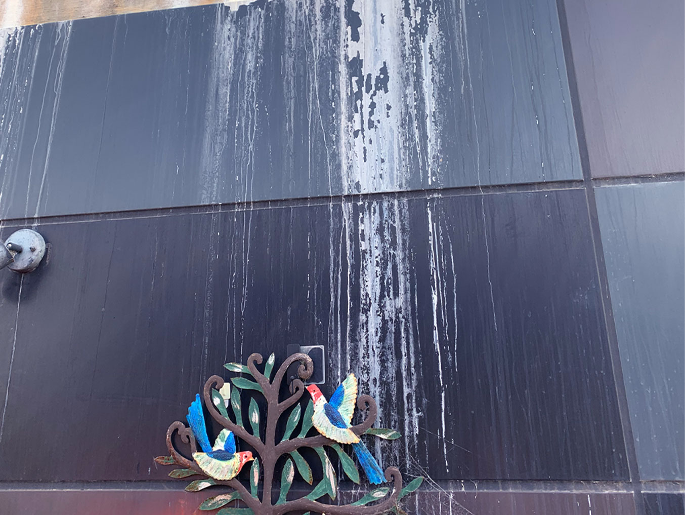 Technical Snapshot: Efflorescence on Concrete and Tile Surfaces | Bayset