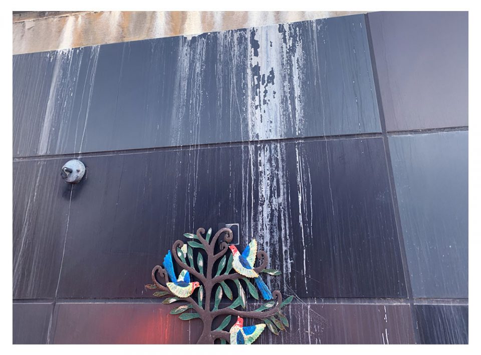 Technical Snapshot: Efflorescence on Concrete and Tile Surfaces | Bayset