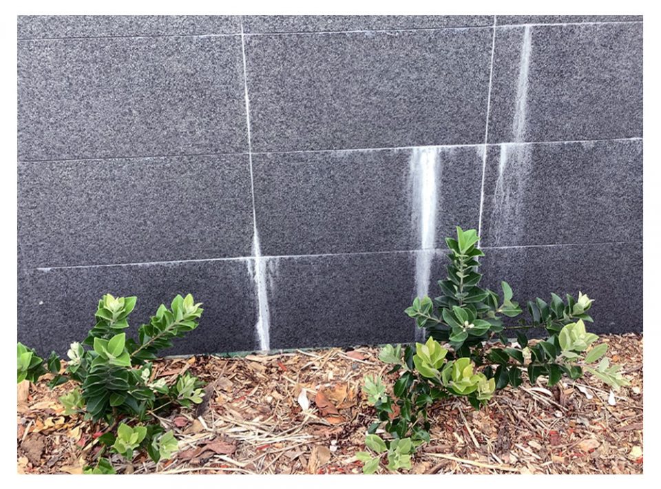 Technical Snapshot: Efflorescence on Concrete and Tile Surfaces | Bayset